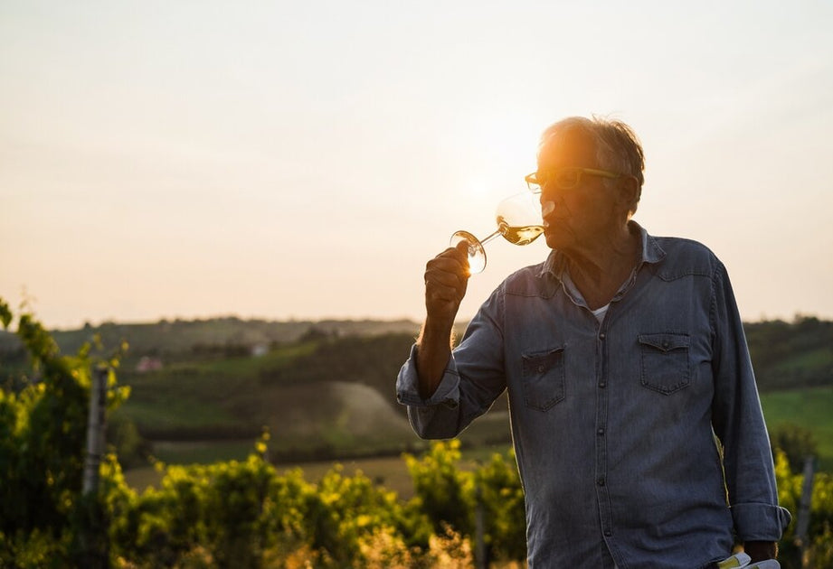 Biodynamic Wines: In Natural Harmony | In Wines We Trust