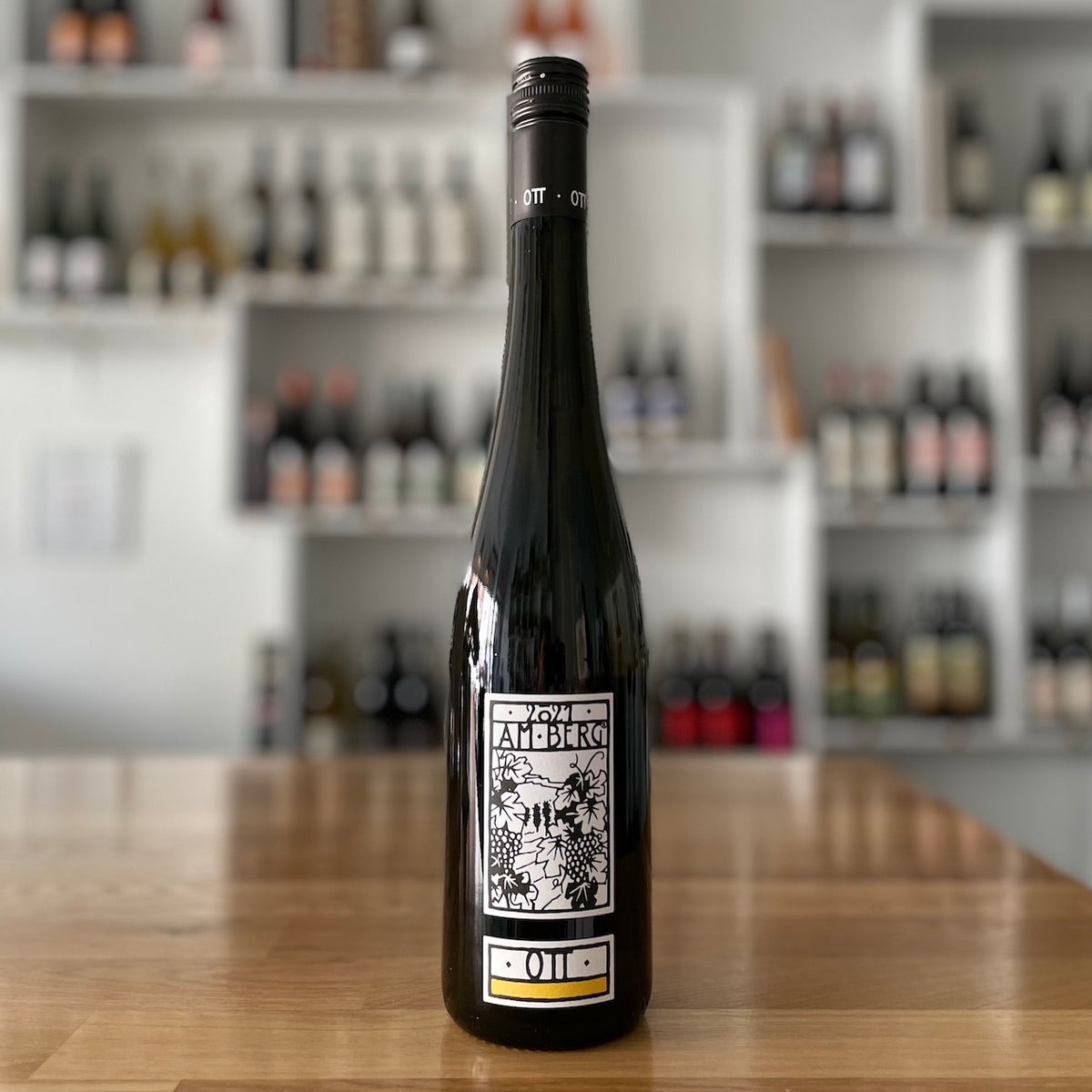 Weingut Bernhard Ott, Am Berg Gruner Veltliner, 2021 | In Wines We Trust